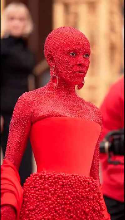 Here’s Doja Cat Covered In 30,000 Crystals - One News Page