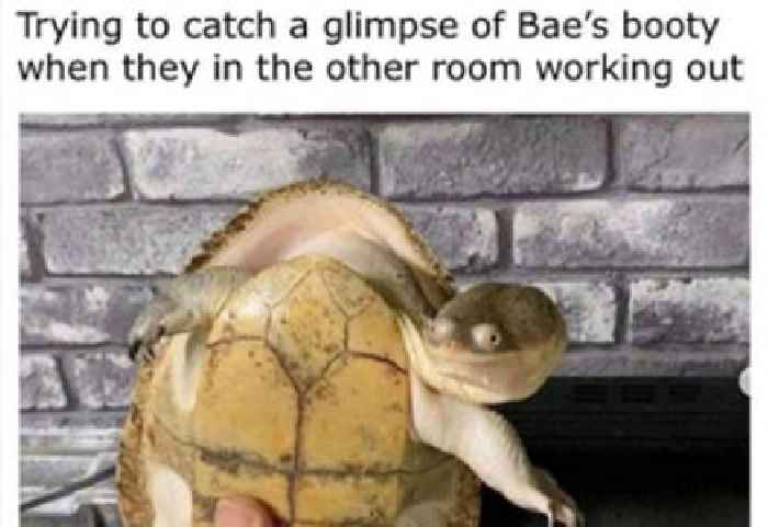 27 Adult Themed Memes Worthy of an Incognito Tab - One News Page