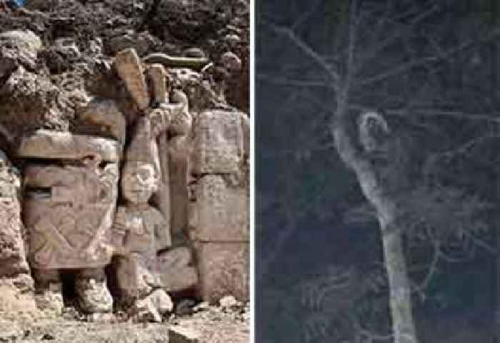 The President of Mexico Is Convinced He Spotted a - One News Page