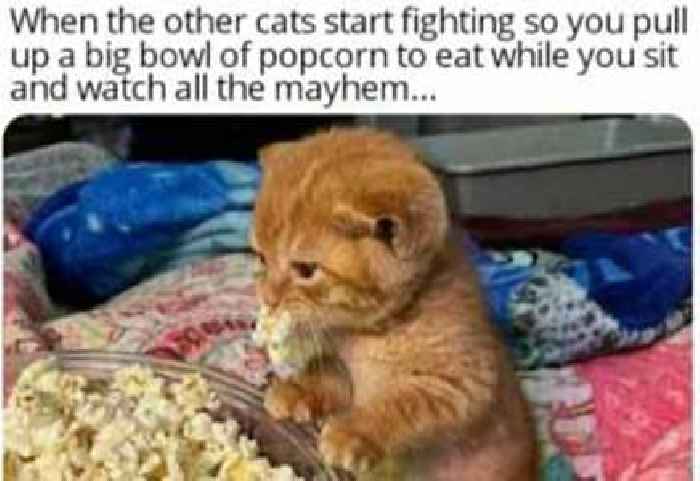 48 Pics And Memes For Exquisite Minds - One News Page
