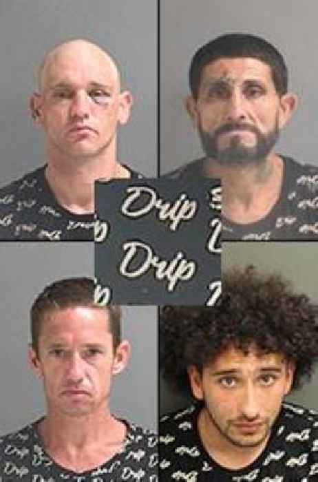 Friday Photo Fun Match Game - One News Page