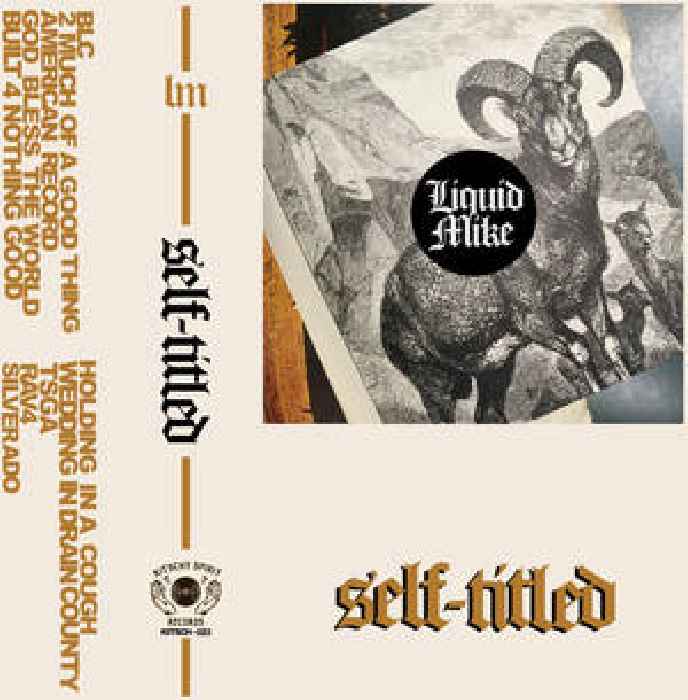 Stream Michigan Power-Pop Band Liquid Mike’s Short & - One News Page