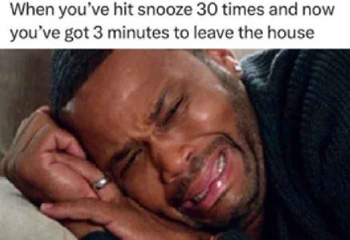 42 Memes That Arrived Just in Time - One News Page