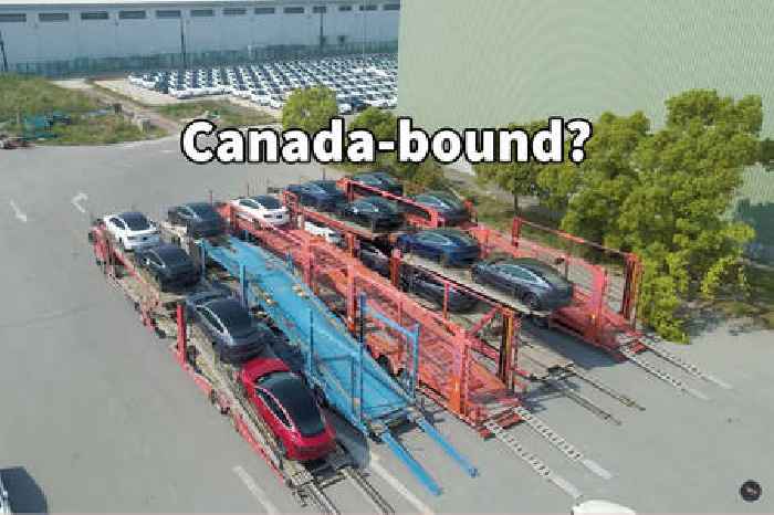 Tesla Started Exporting Model 3 and Model Y From Giga - One News Page