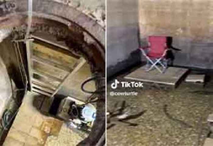 This Amateur Marine Biologist Has Turned His Basement - One News Page