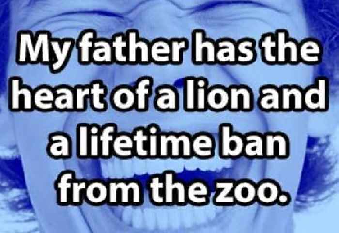 28 People Share Their Favorite Jokes, Puns, and - One News Page