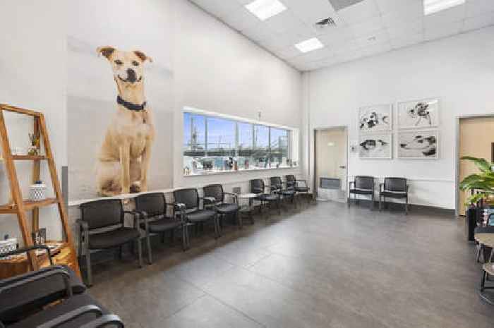 Animal Surgical Center Proudly Announces AAHA - One News Page