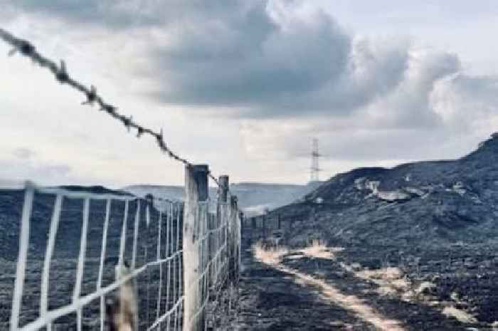 Deep-seated peat bog fire causes devastation for days - One News Page