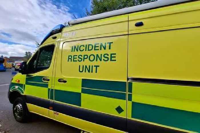 Torquay woman died in crush when reversing car caused - One News Page