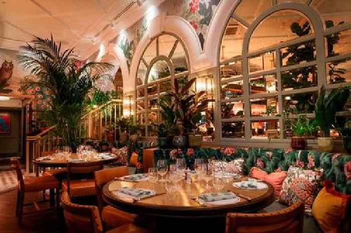First look inside The Ivy in Nottingham that's like 'a - One News Page