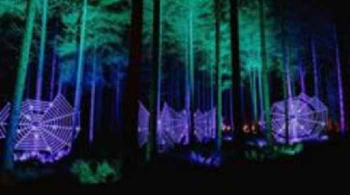 Theft halts opening of Halloween light trail - One News Page