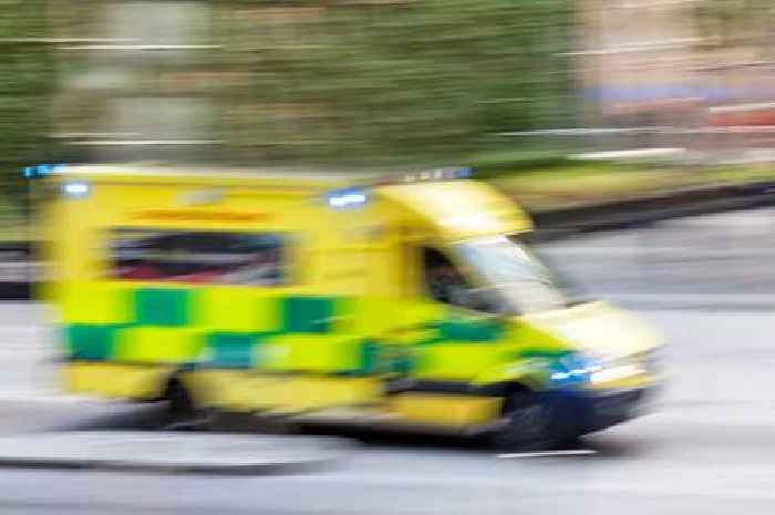 Child dies in 'hazardous materials incident' after - One News Page