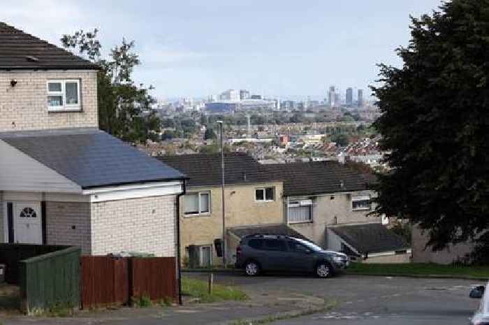 Police given extra powers in Cardiff after 'fireworks - One News Page