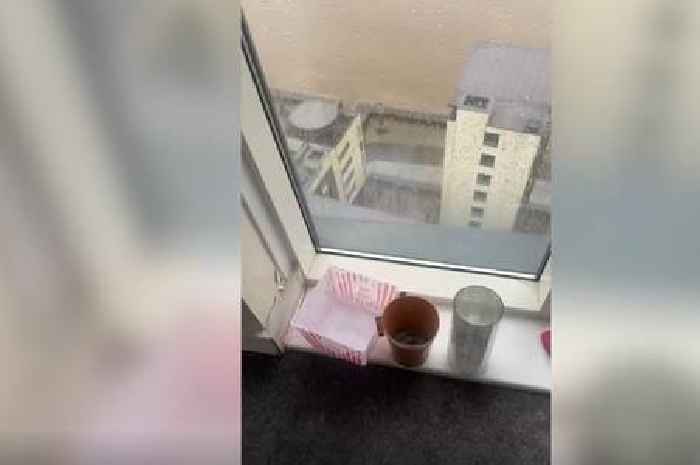 Tower block with horrendous leaks and windows out of - One News Page