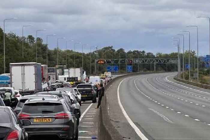 A12 live updates as crash causes queueing traffic for - One News Page