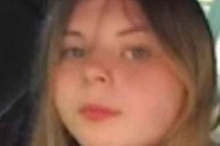 Urgent searches continue to find missing girl last - One News Page