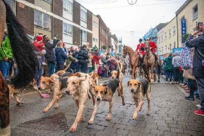 TV star Chris Packham steps in as town declares Boxing - One News Page