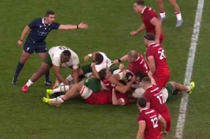 Springboks legend demands investigation as - One News Page