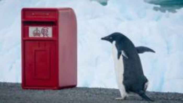 King sends post box to Antarctic research staff - One News Page