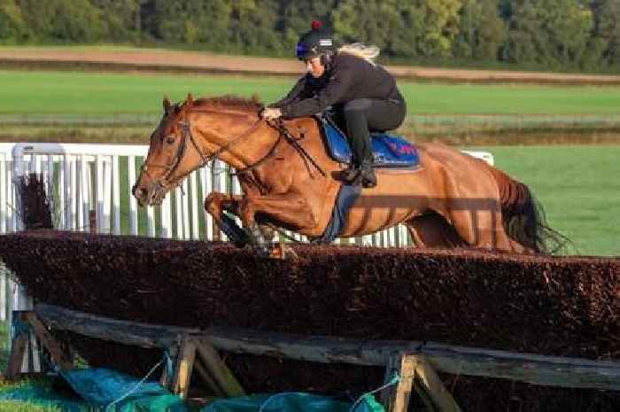 Jockey swaps the saddle for science lab to help cure - One News Page