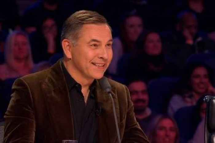 David Walliams' four word response over 'poor taste' - One News Page