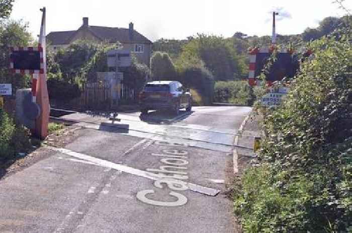Somerset level crossing could be widened after 145 - One News Page