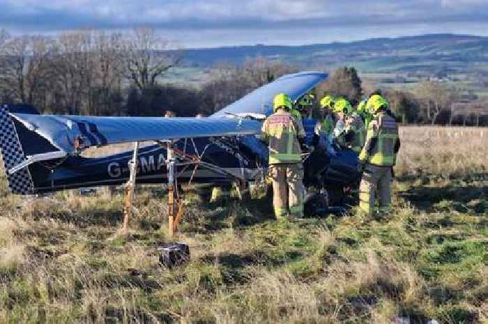 Pilot rescued as plane crash-lands in field - One News Page