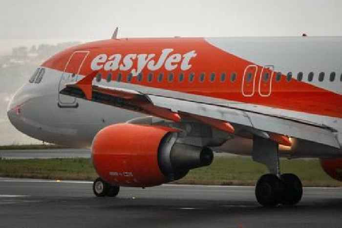 Bird strike forces EasyJet flight to turn back to - One News Page