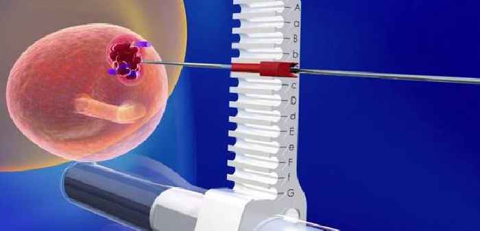 Koelis Announces Innovative Products at EAU 2026 - One News Page