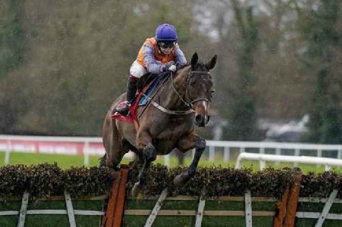 Scottish Grand National 2026 final runners list as - One News Page