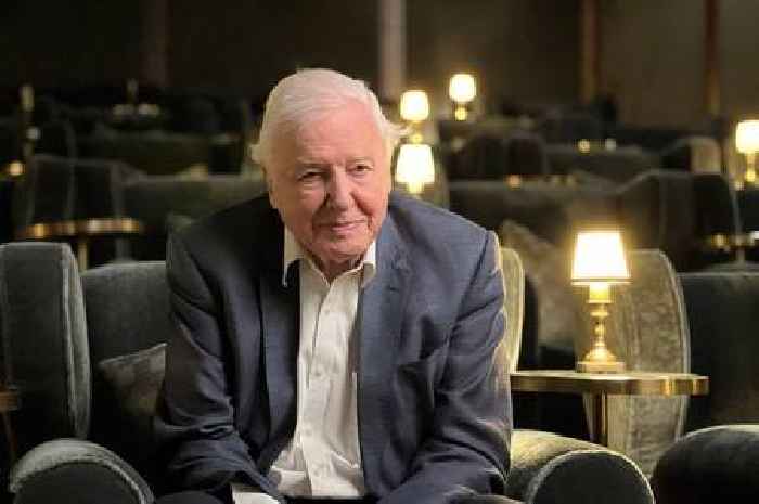 BBC issues correction on David Attenborough show - One News Page