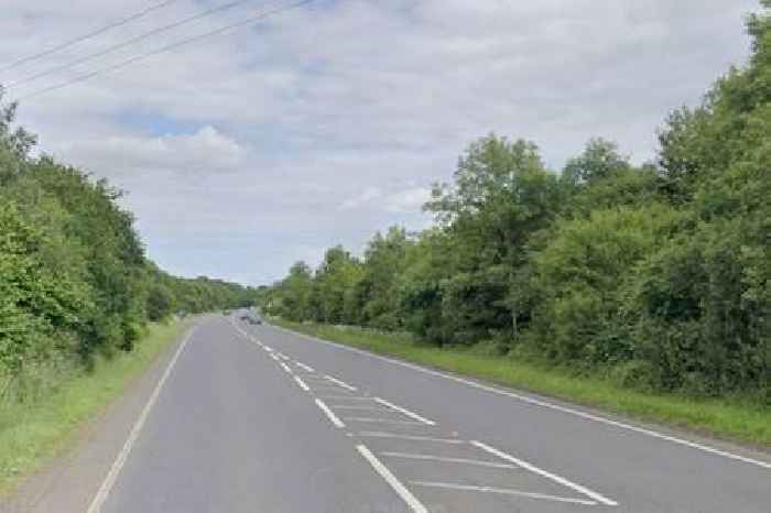 Cornwall lorry driver arrested after pedestrian killed - One News Page
