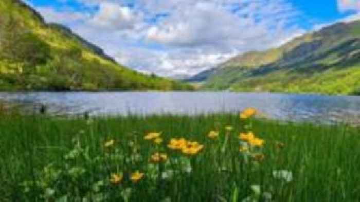 Your pictures of Scotland - One News Page