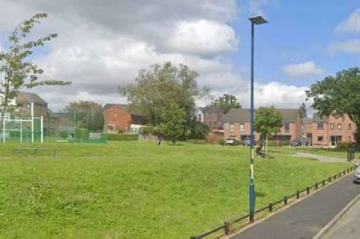 Man shot near Birmingham children's play area as two - One News Page
