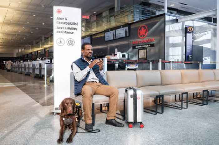 Air Canada Releases Accessibility Plan 2026–2029 - One News Page