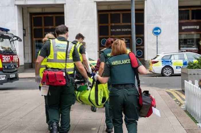 Emergency services put terror attack response to the - One News Page
