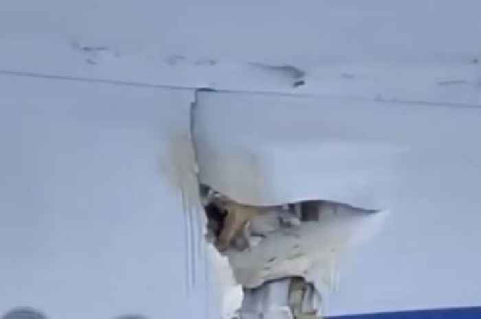 Plane crashes into radar mast leaving hole ripped into - One News Page