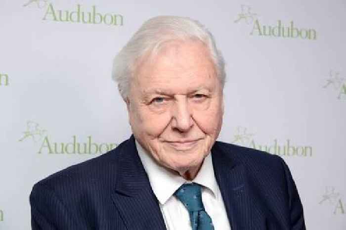 David Attenborough has breakfast linked with - One News Page