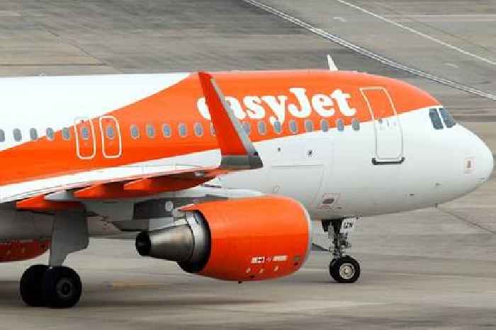 Easyjet captain 'wrestles drunk passenger' on flight - One News Page