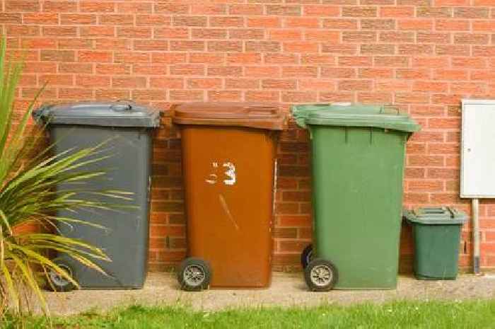 Households getting two new bins as collection rules to - One News Page