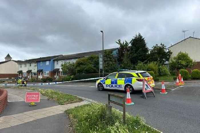 Pedestrian seriously hurt in Torquay Stagecoach bus - One News Page