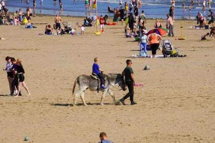 Popular Welsh beach bans donkey rides after 100 years - One News Page