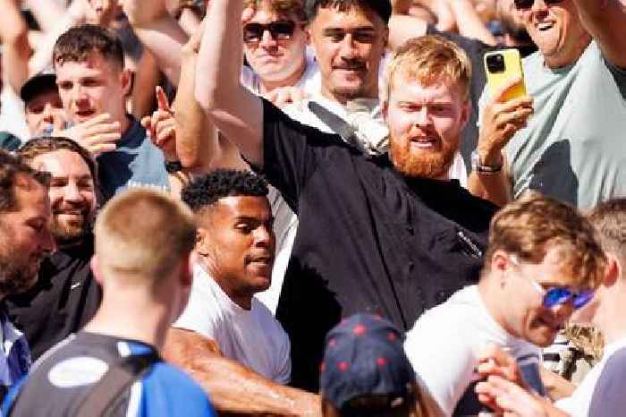 England rugby star admits he ripped fan's shirt as - One News Page