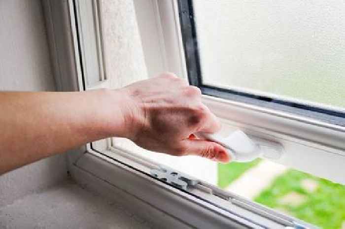 'Homes feel cooler' with 1 item British Gas urges - One News Page