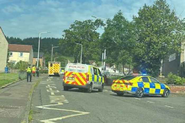 Driverless car mows down OAP lollipop man outside - One News Page