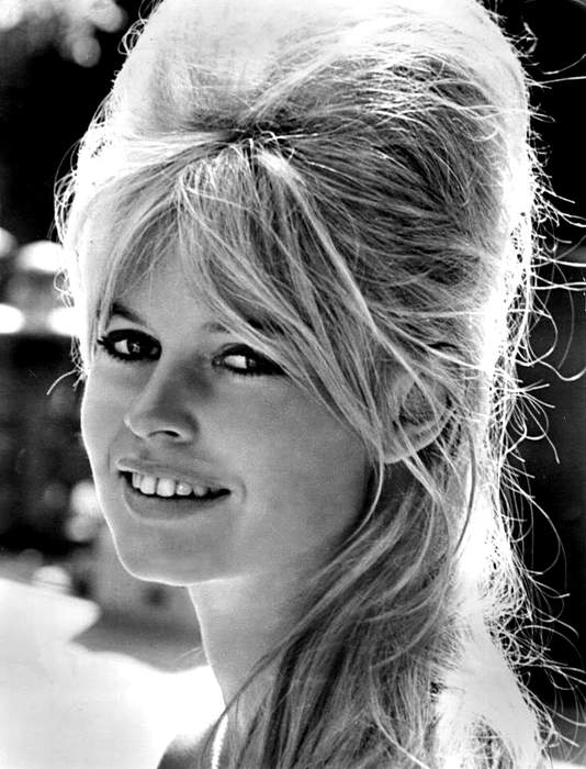 Brigitte Bardot’s final days before her death at 91 - One News Page